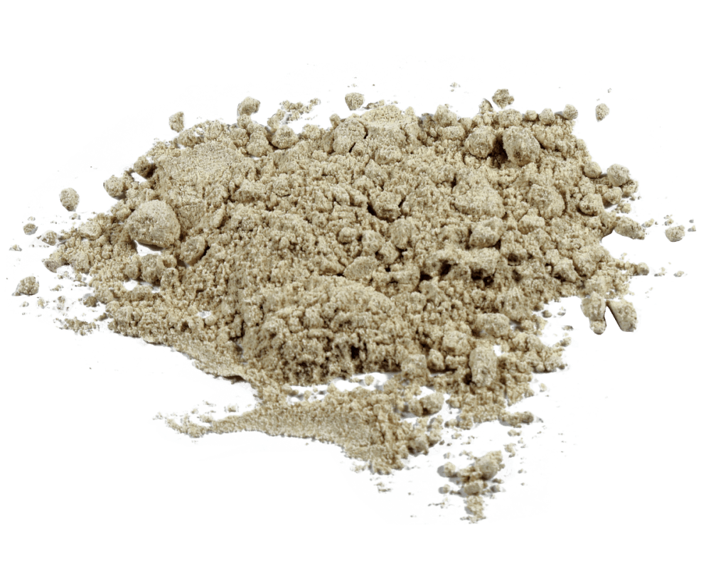 Buckwheat - Product and Crop Information - Minn-Dak Growers, Ltd.