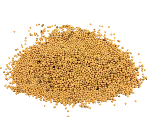 Mustard Seed - Mustard Flour - Mustard Mixes - Minn-Dak Growers, Ltd.